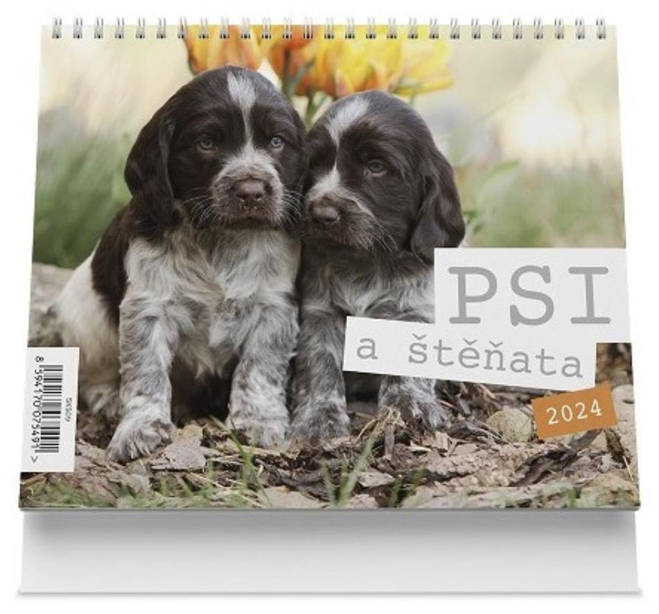 Kalendář stolní malý 2024 Psi a štěňata | Pes doma - Chovatelské ...
